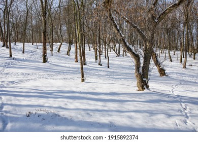 18,274 Parallel Shadow Images, Stock Photos & Vectors | Shutterstock