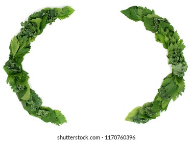 Parentheses Round Soft Brackets Created Greens Stock Photo 1170760396 ...