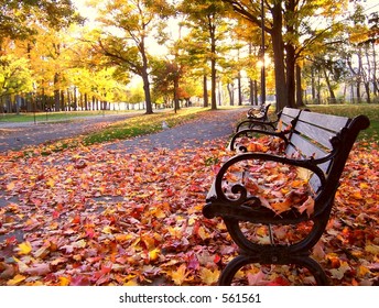 Park Bench Fall Stock Photo 561561 | Shutterstock