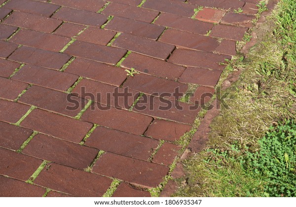 Park Path Lined Red Paving Slabs Stock Photo 1806935347 | Shutterstock