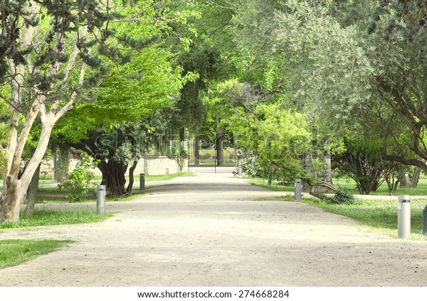 Park Pathway Stock Photo 274668284 | Shutterstock
