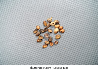 Defect coffee bean Images, Stock Photos & Vectors | Shutterstock