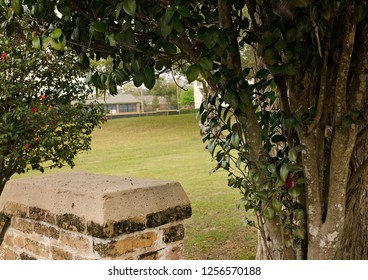 2,751 Partial Brick Wall Stock Photos, Images & Photography | Shutterstock