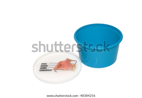 Partial Denture Container Isolared Against White Stock Photo (Edit Now ...