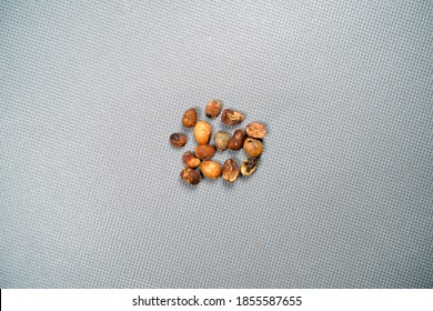 Defect coffee bean Images, Stock Photos & Vectors | Shutterstock