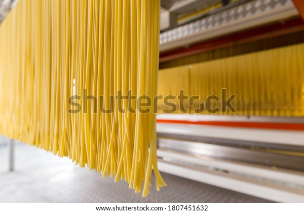 Pasta Producing Process Various Types Pasta Stock Photo 1807451632 ...