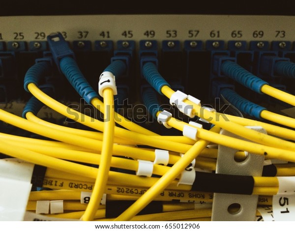 Patch Cord Fiber Optic Odf Stock Photo (Edit Now) 655012906