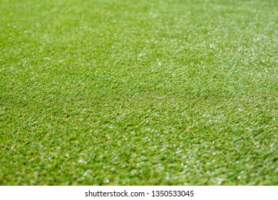 115 Fake grass patch Images, Stock Photos & Vectors | Shutterstock