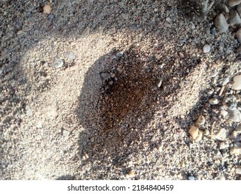 6,152 Sand patches Images, Stock Photos & Vectors | Shutterstock