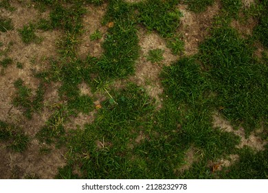 1,141 Patchy grass Images, Stock Photos & Vectors | Shutterstock