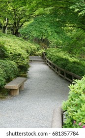 Shot Pathway Rock Walls Overhead Trellis Stock Photo 1880889139 ...