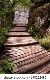32,343 Path ahead Images, Stock Photos & Vectors | Shutterstock