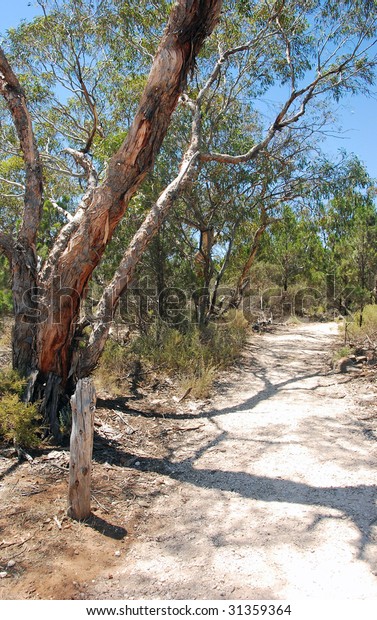 Path Australia Wild Stock Photo (Edit Now) 31359364