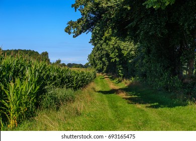 484 Tortuous path Images, Stock Photos & Vectors | Shutterstock