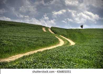 Path Cloud Stock Photo 436801051 | Shutterstock