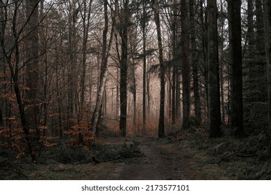 4,456 Dim sunlight Images, Stock Photos & Vectors | Shutterstock