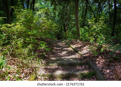 4,456 Dim sunlight Images, Stock Photos & Vectors | Shutterstock