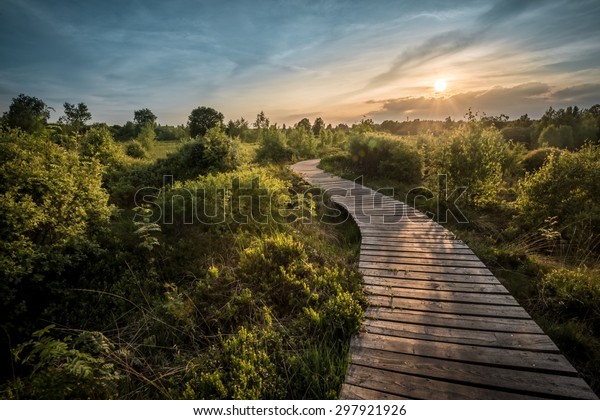Path Into Sun Stock Photo (Edit Now) 297921926