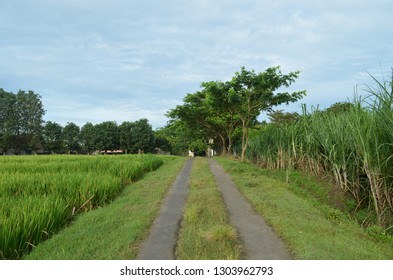 45 Jalan setapak Images, Stock Photos & Vectors | Shutterstock