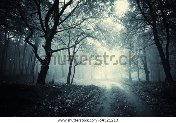 chemin à travers une forêt sombre : photo de stock (modifier maintenant ...