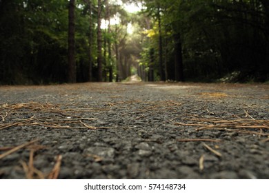 4,029 Low angle trail Images, Stock Photos & Vectors | Shutterstock