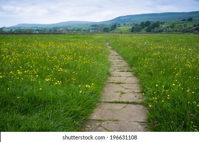 28,344 Path Through Field Images, Stock Photos & Vectors | Shutterstock