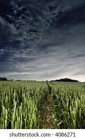 Path Through Wheat Field Stock Photo 4086271 | Shutterstock