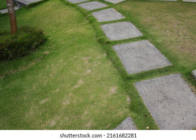 1,333 Creating pathways Images, Stock Photos & Vectors | Shutterstock