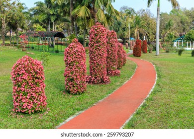 Pathway Stock Photo 259793225 | Shutterstock
