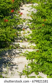 Pathway Stock Photo 679821181 | Shutterstock