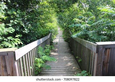 Pathway Stock Photo 708097822 | Shutterstock