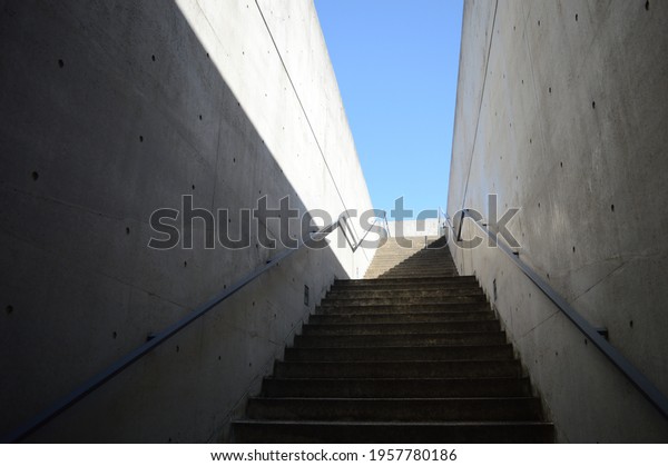 Pathway Inside Showing Light Shadow Stock Photo 1957780186 | Shutterstock