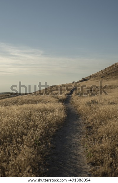 Pathway Through Grasslands Stock Photo 491386054 | Shutterstock