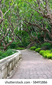 Pathway Trees Stock Photo 58491886 | Shutterstock