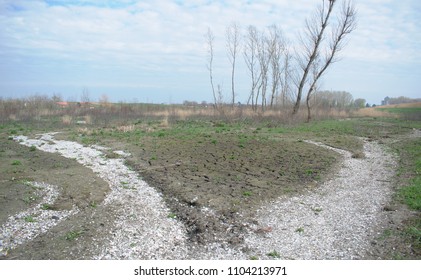Pathway White Shells Empty River Basin Stock Photo 1104213971 ...