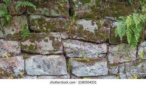 7,357 Old moss covered building Images, Stock Photos & Vectors ...