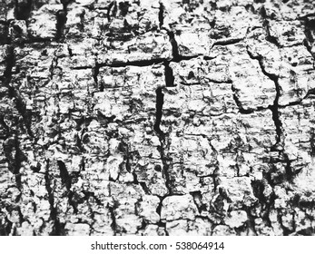 Pattern Bark Surface Background Wallpaper Smart Stock Photo 538064914 ...