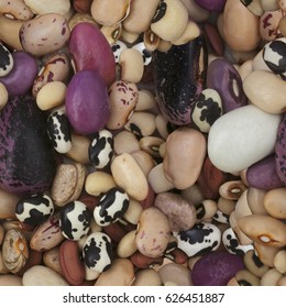 Victoria HAF's Portfolio on Shutterstock