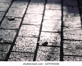 Stock Photo and Image Portfolio by Gerald Gullion Sanchez | Shutterstock