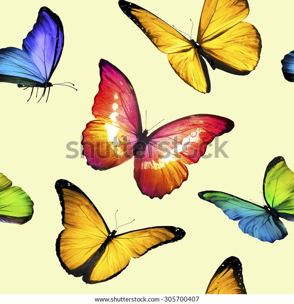 Pattern Flying Butterflies Stock Photo (Edit Now) 305700407