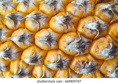 Close View Pineapple Skin Texture Stock Photo (Edit Now) 1830290105