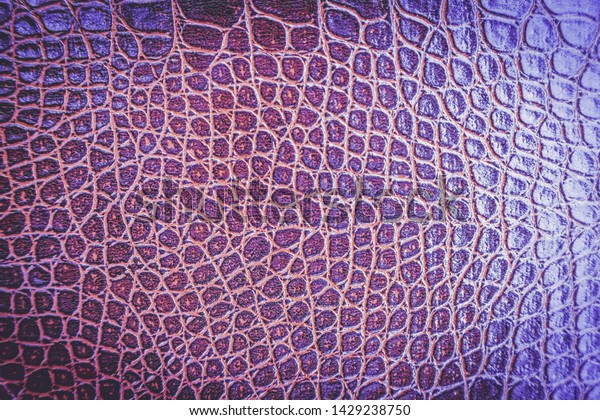 Pattern Skin Leather Texture Use Background Stock Photo 1429238750 ...