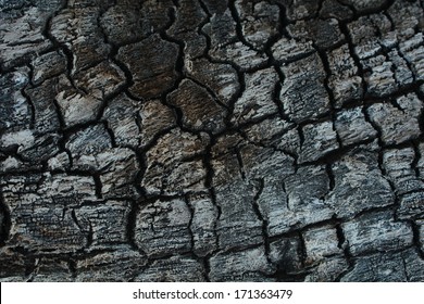 Pattern Texture On Burnt Timber Stock Photo 171363479 | Shutterstock