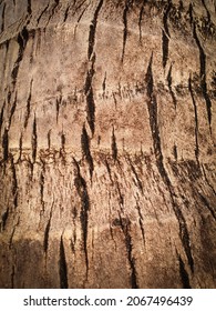 2,598 Wavy trunk Images, Stock Photos & Vectors | Shutterstock