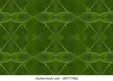 Pattern Wall Concept Leaf Form Concept Stock Photo 189777482 | Shutterstock