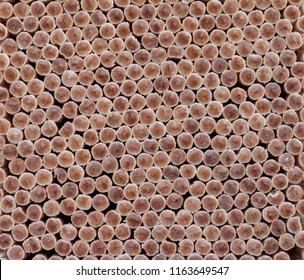 Patterns Round Trees Spread Out Background Foto de stock 1163649547 ...