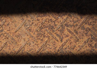95 Dusky markings Images, Stock Photos & Vectors | Shutterstock