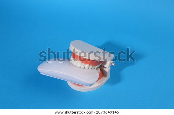 Pc Mouse Teeth Jaw Model Blue Stock Photo 2073649145 | Shutterstock