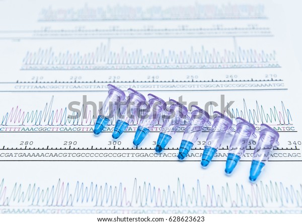 Pcr Dna Sequence Analysis By Chromatogram Stock Photo (Edit Now) 628623623