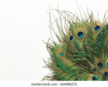 Jain Peacock Feather Broom Detail Calcutta Stock Photo 406477453 ...